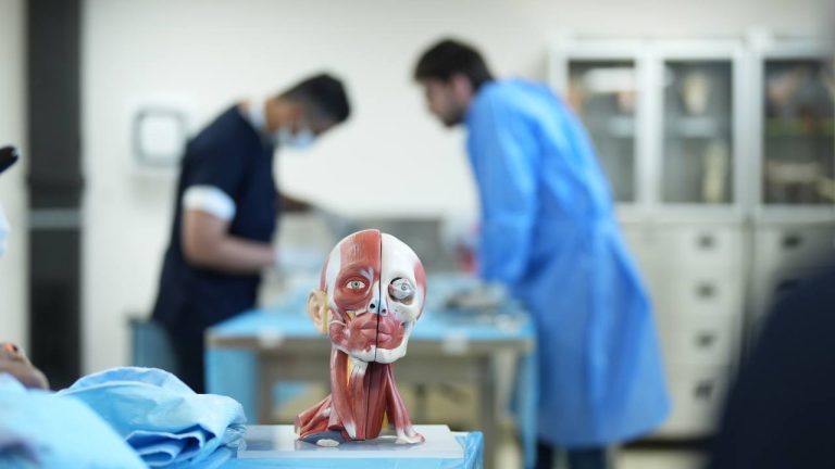 Home - Comed Medical Training in Turkey